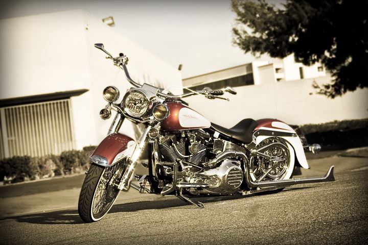 Burly Beach Bars (1.25") | HANDLEBARS | Burly Brand